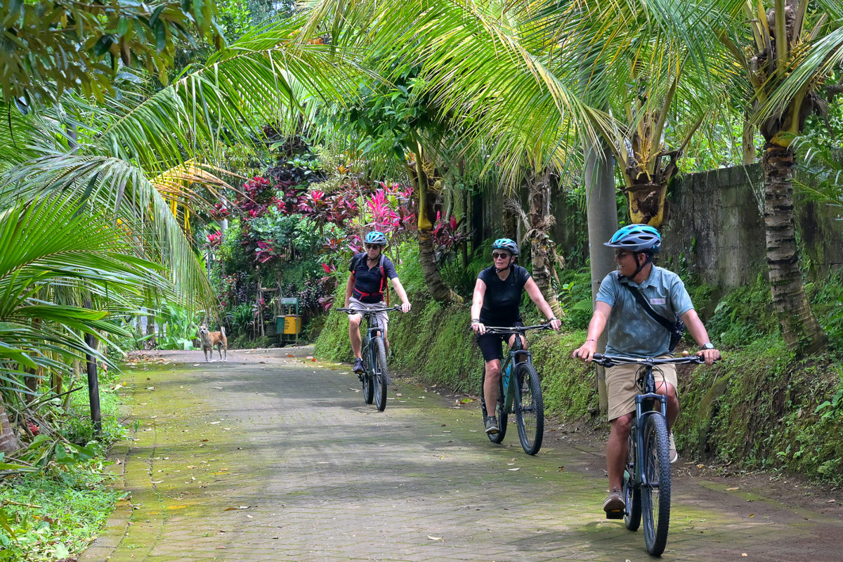 Cycle Ubud’s Backroads & Discover Balinese Cooking